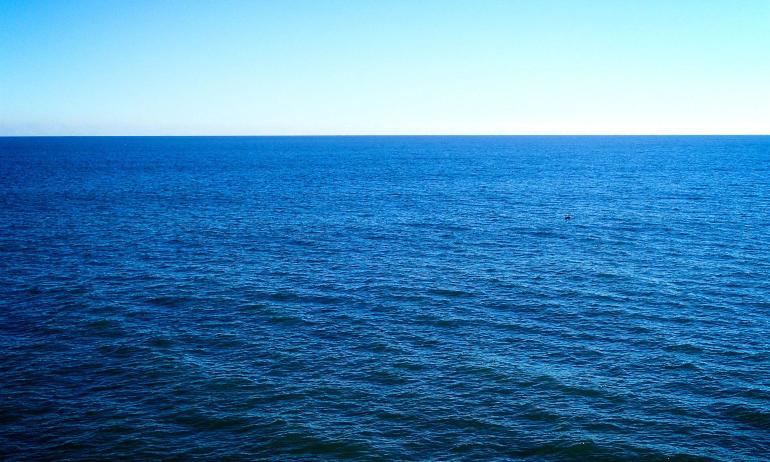 Welcome - Rogue Wave Designs